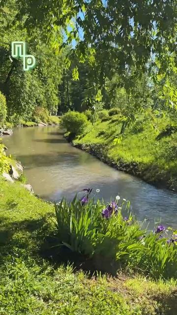 «АлтайWest» - это здоровье и красота среди гор 🌿😊🏞