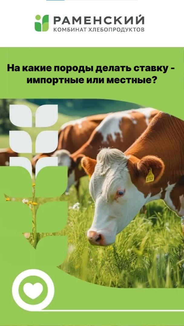 На какие породы с/х животных делать ставку - на импортные или местные?
