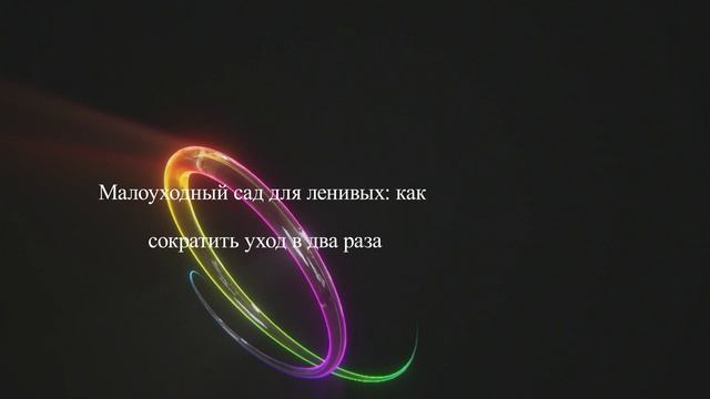 Малоуходный сад для ленивых: как сократить уход в два раза