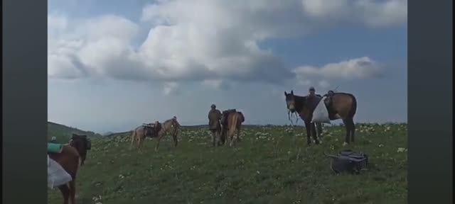 Верховая езда.