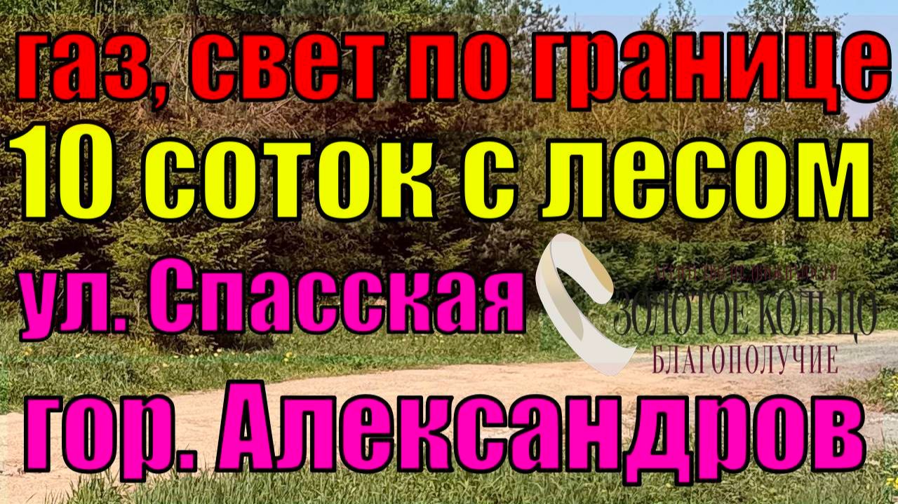 Участок 10 соток с собственным лесом и небольшим фундаментом в г. Александров. Газ. Свет.
