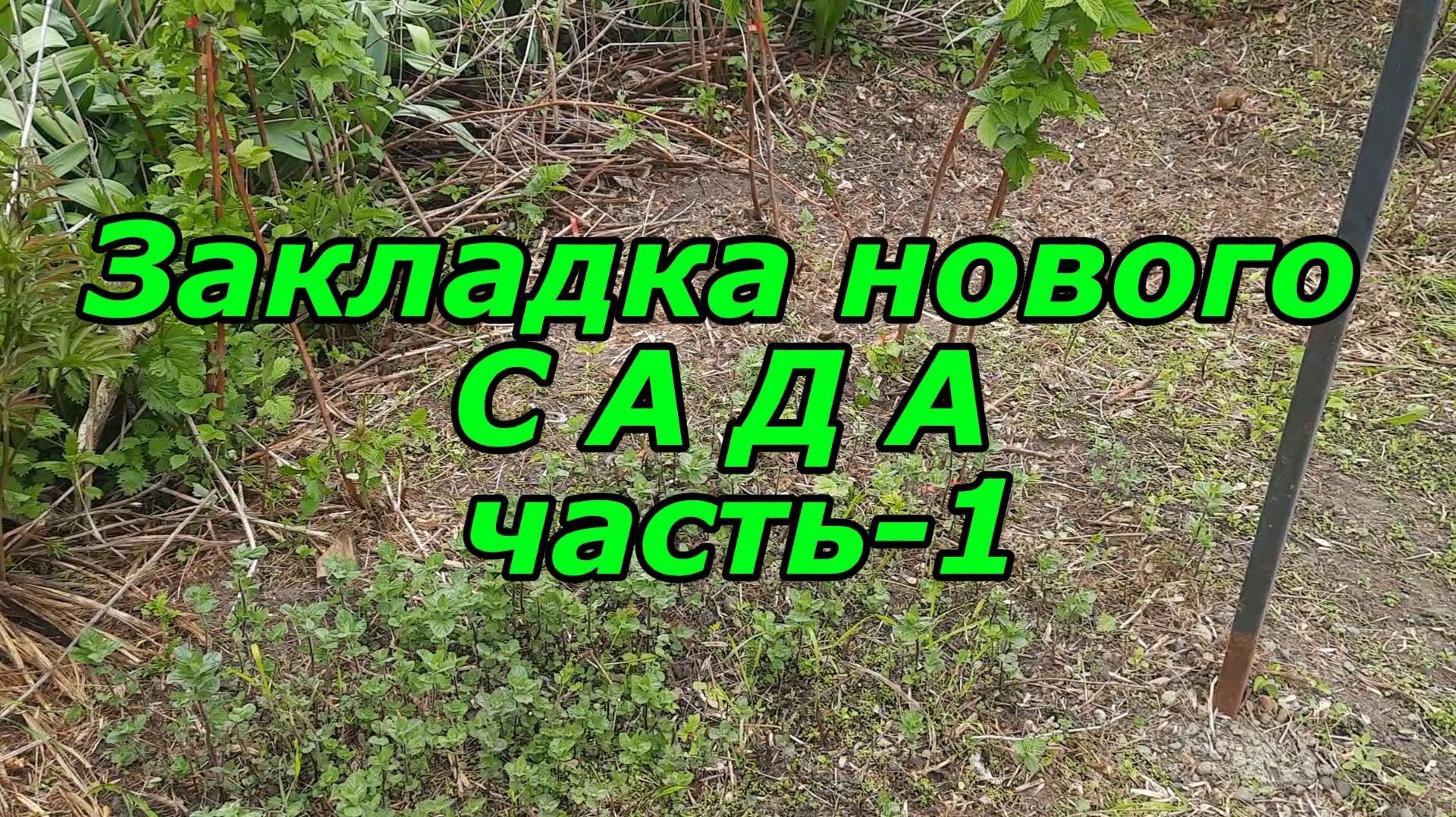 Закладка Нового Сада часть-1