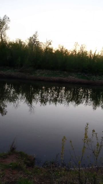 прогулка к озеру