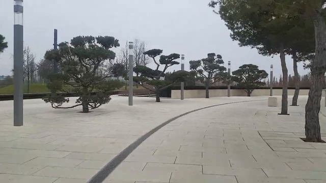парк Галицкого Краснодар. осень