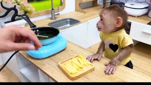 Чудесная жизнь маленькой обезьянки 8ч.🙈🗿🐒🐵