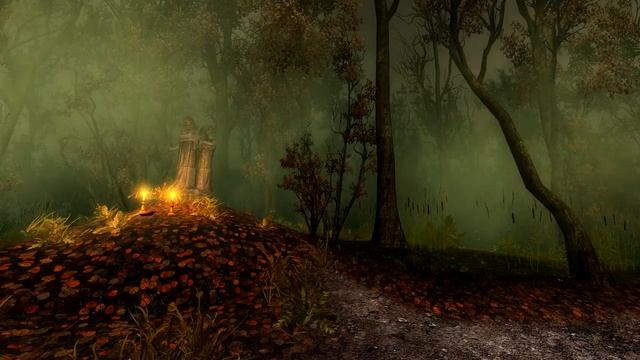 The Witcher 1 - Swamp Forest ｜ Ambient Soundtrack (Extended)
