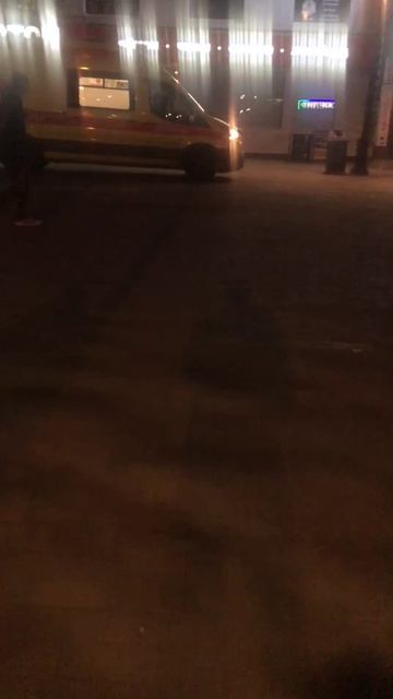Русскаяя Община патрулирует главную улицу города (Вайнера)