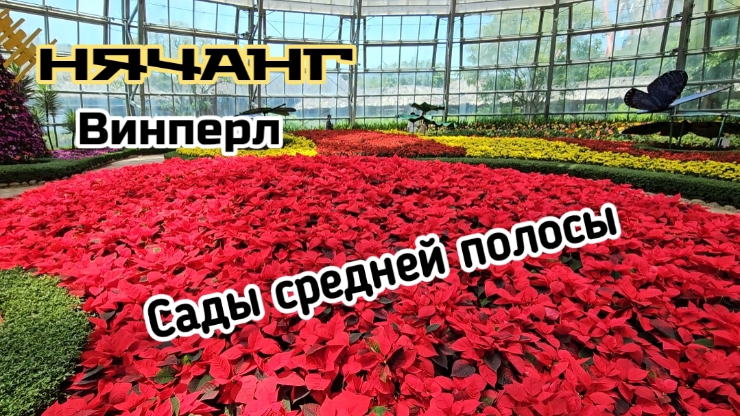 Цветы средней полосы, оранжиреи на Винперле.