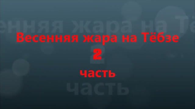 ВЕСЕННЯЯ ЖАРА НА ТЁБЗЕ. 2 часть