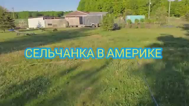 Сельчанка в Америке Реальная жизнь в американской глуши Моя ферма