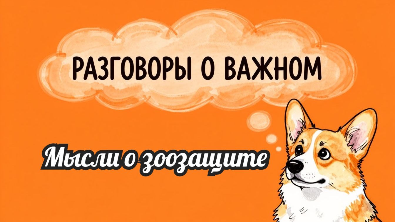 🐶 Зоозащита без прикрас: факты, личный опыт и наше мнение о ситуации.