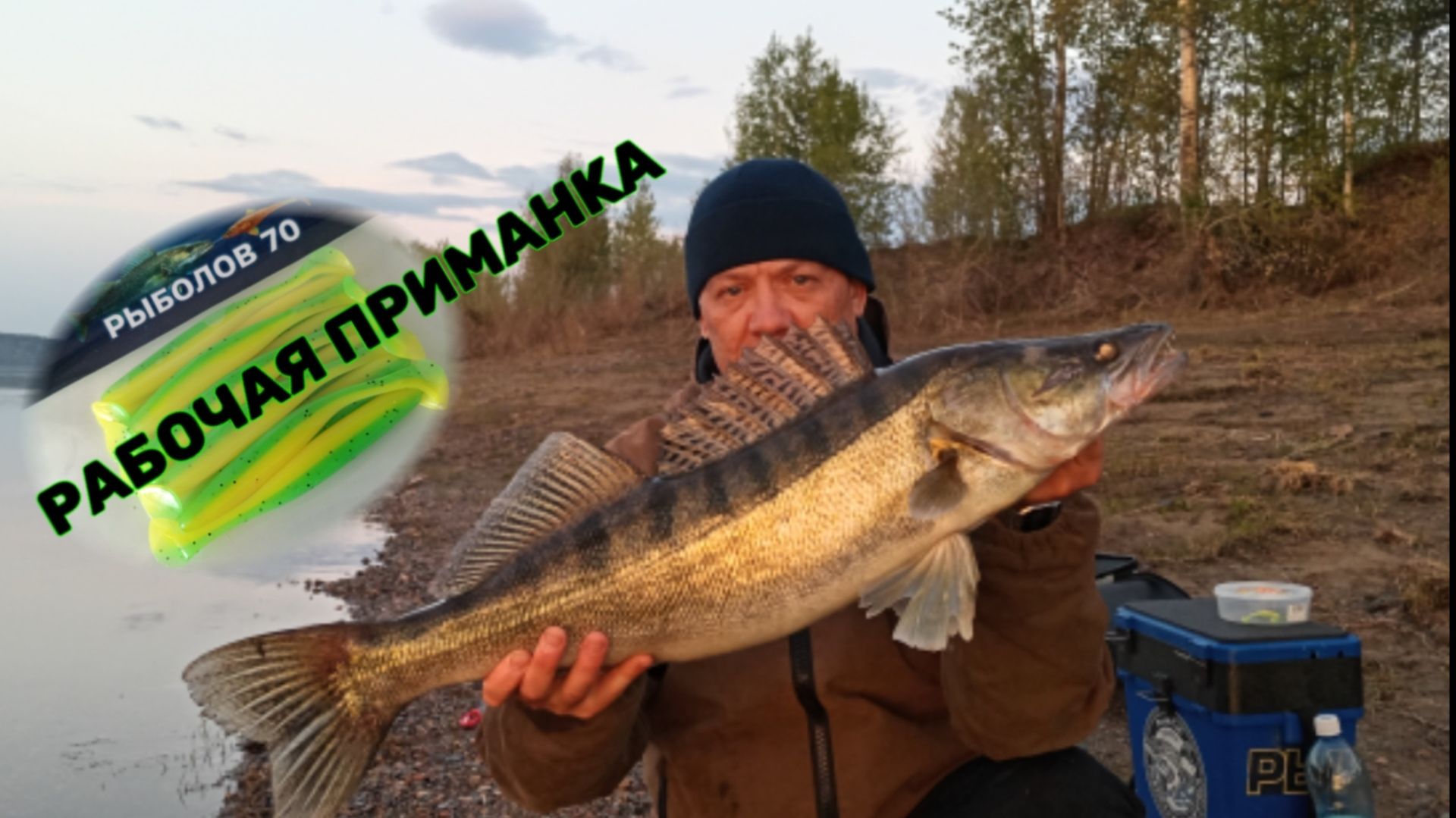 ОПЯТЬ ТРОФЕЙНЫЙ СУДАК С БЕРЕГА НА РЕЗИНКУ