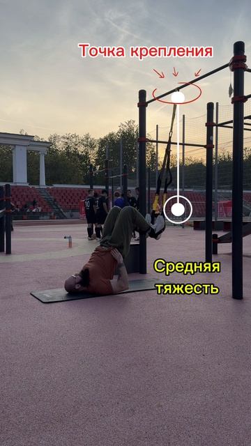 Сгибание голени в TRX