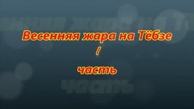 ВЕСЕННЯЯ ЖАРА НА ТЁБЗЕ. 1 часть