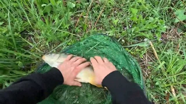 РЫБАЛКА МЕЧТЫ НА ПОПЛАВОЧНУЮ УДОЧКУ