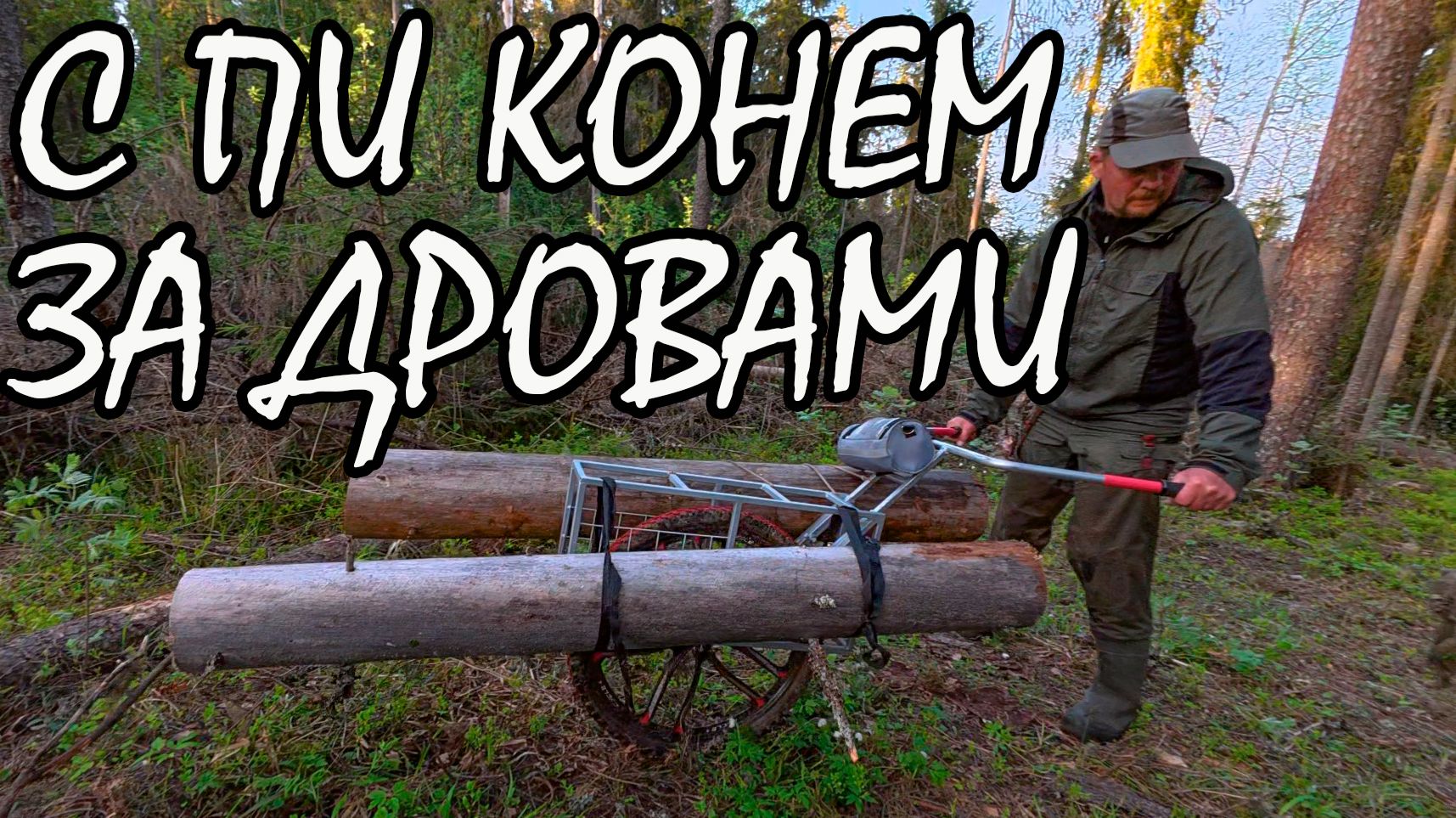 С ПиКонем за дровами.