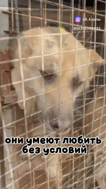 Люди, будьте добрее!