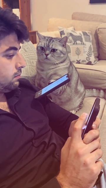 Когда не поставил лайк 😼