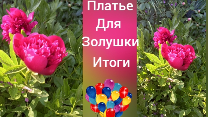 ПЛАТЬЕ ДЛЯ ЗОЛУШКИ ИТОГИ