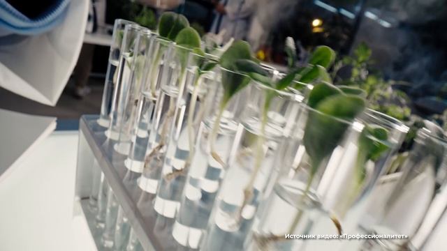 Профессиональные пробы_21.05.2026_СольТВ