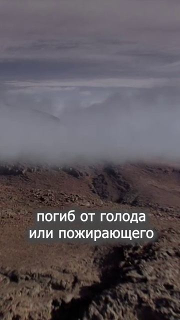 Покаяние и прощение. Способны ли вы простить предательство? | Анонс субботней школы