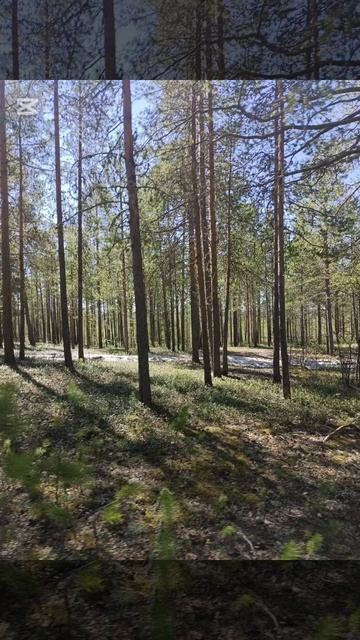 Катаемся со моей сестрой на машине