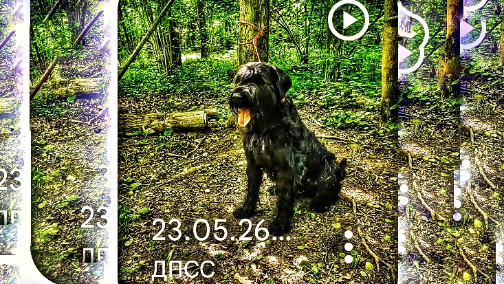 ДПСС 23.05.26