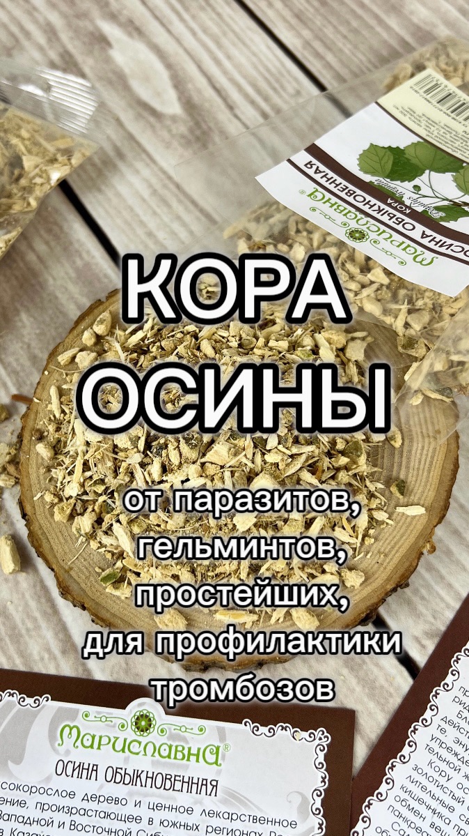 Кора осины на сайте Мариславна