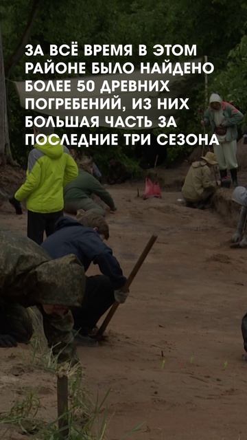 Археологи. Старт сезона
