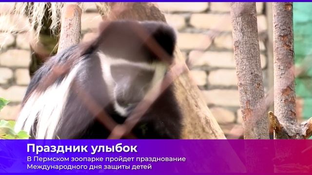 Коротко о главном_26.05.2026_СольТВ