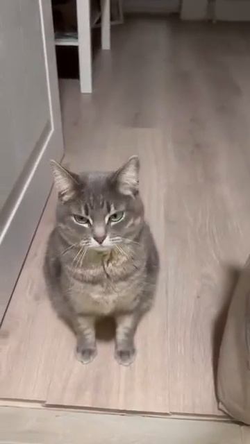 Это ты или не ты?...👇
