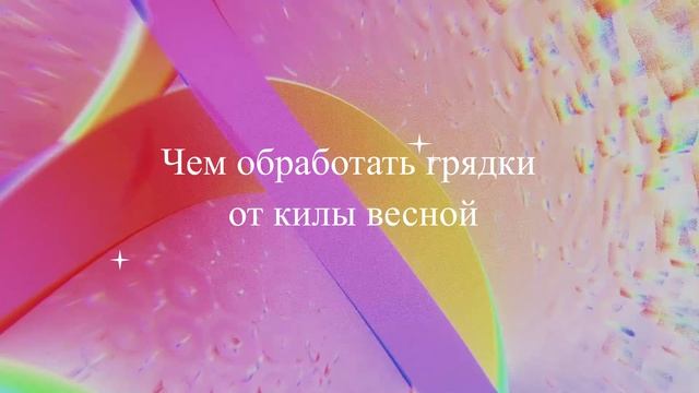 Чем обработать грядки от килы весной