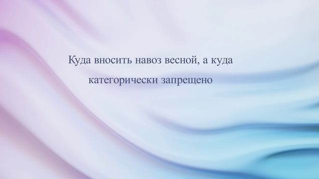 Куда вносить навоз весной, а куда – категорически запрещено