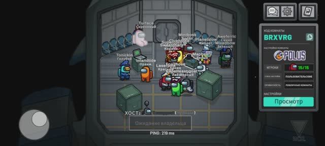 Играю в Among us 2 часть, купил себе новый скин