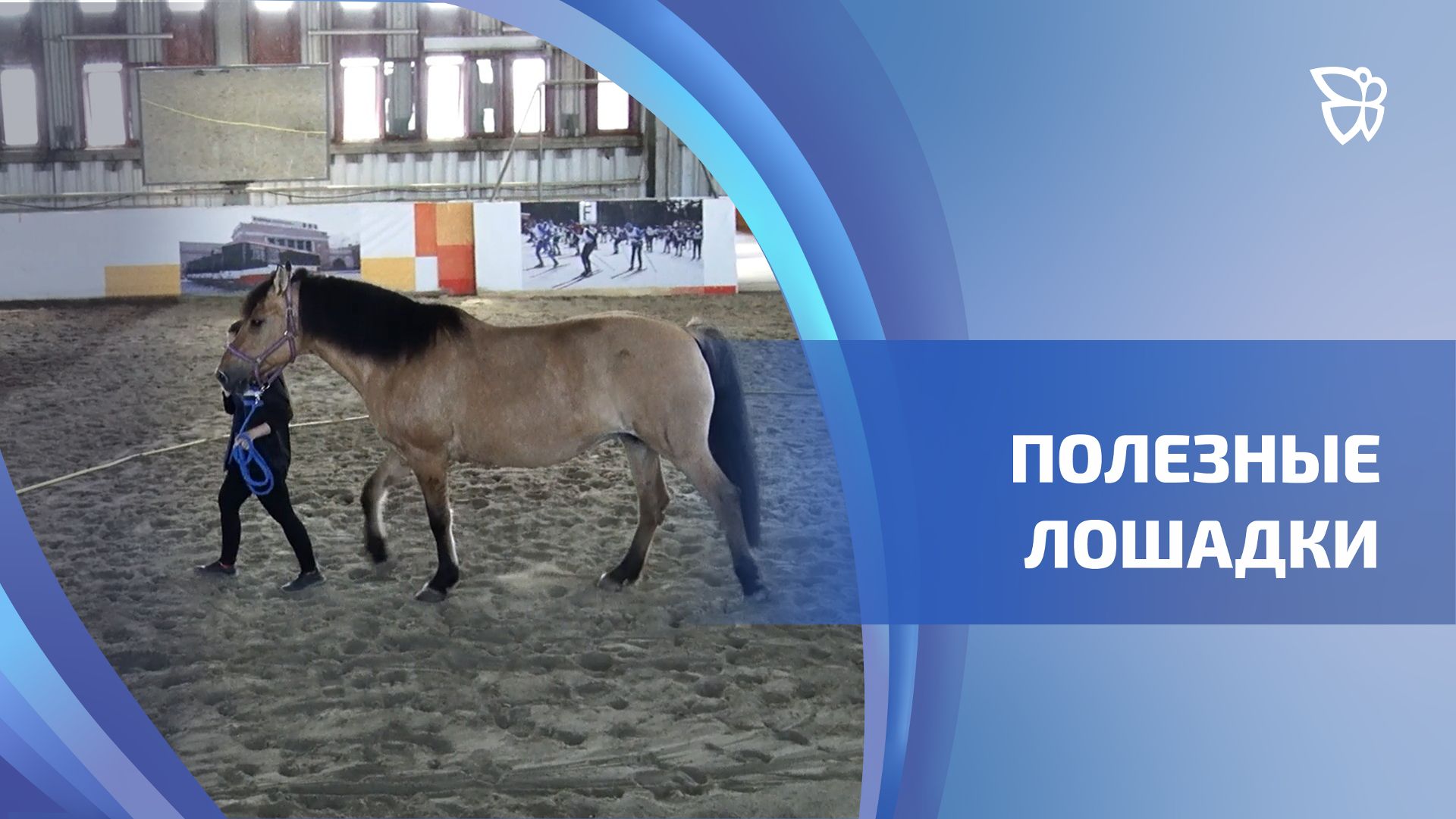 В конно-спортивном клубе «Уралец» дети познакомились с иппотерапией