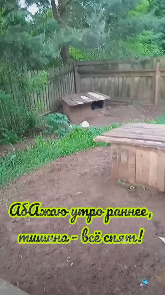 АбАжаю утро раннее - тишина, все спят!