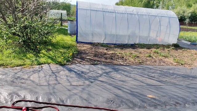 Огородные дела во всей красе