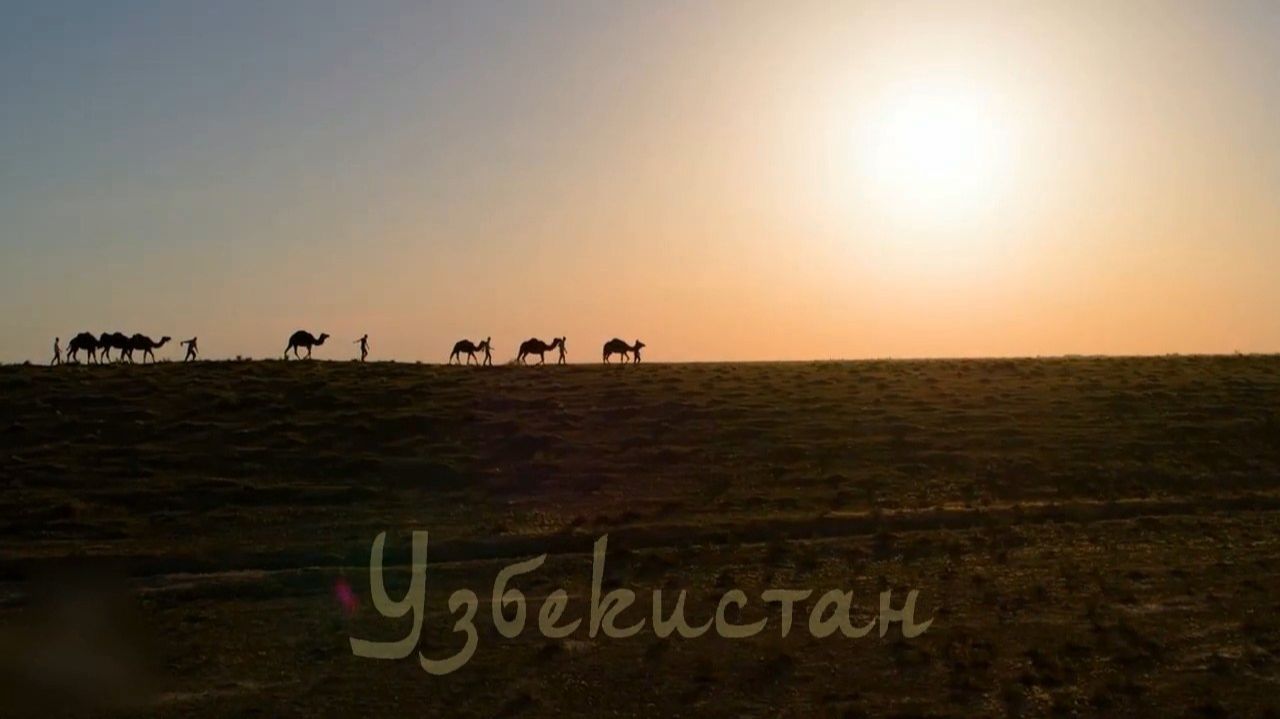 Mehdi - Eastern Sunset