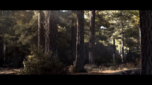 Let's Go| • | Call of Duty: Modern Warfare |||
