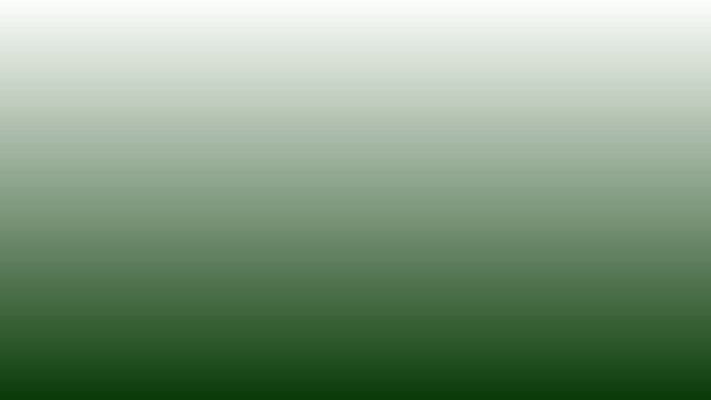Gif как видео файл.