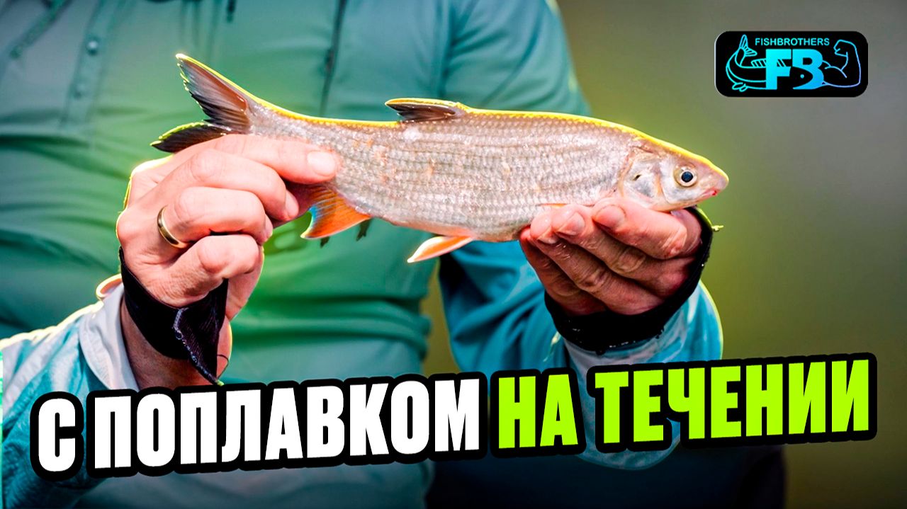 Такого улова я не ожидал! Нежданчик на поплавок!