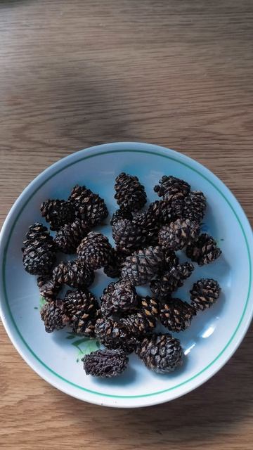 Обзор. Сосновые шишки цукаты. Необычный вкус и польза. Канал Тутси-диеты и путешествия.
