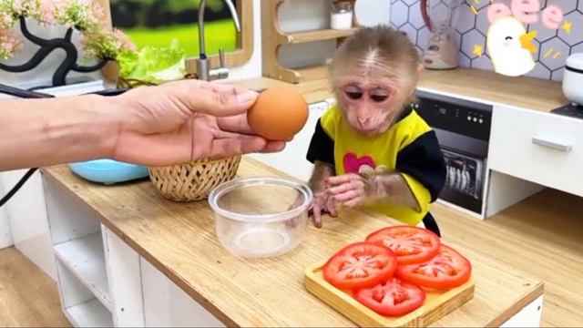 Жизнь маленькой чудесной обезьянки 10часть🙈🐒🐵🦧