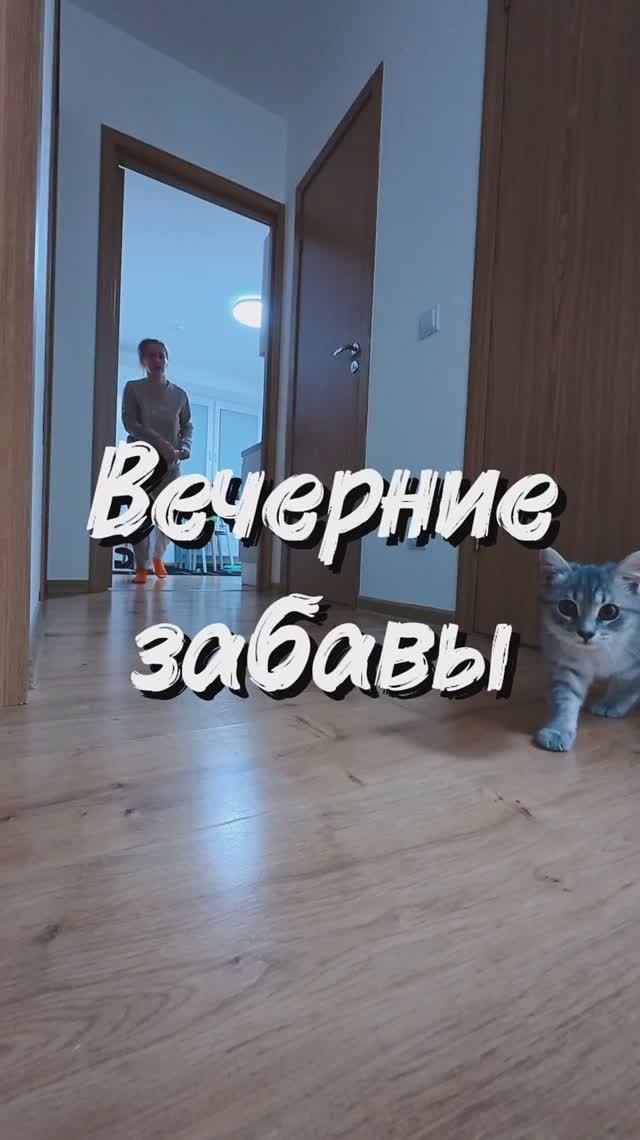 Вечерние забавы