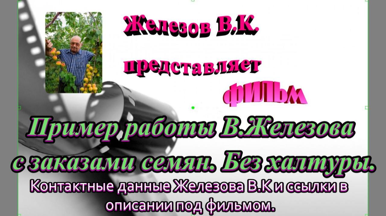 Пример работы В.Железова с заказами семян. Без халтуры.