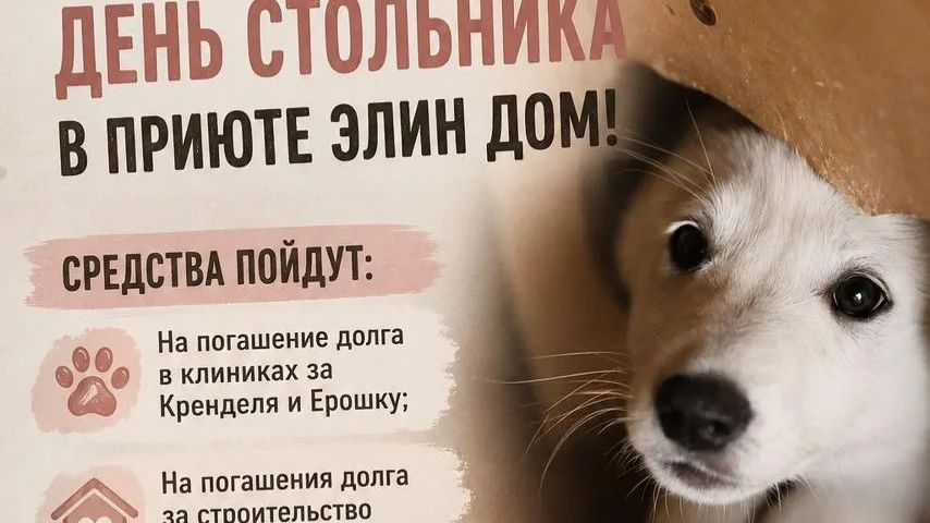 Завершаем стройку! Просим помощи!