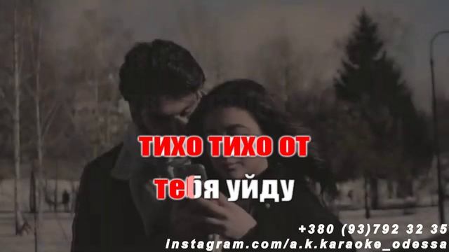 Фонари(AK)~___Xassa #караоке #подпишись #тренды #Kurkov @a.k.karaoke💖