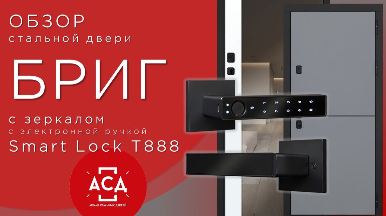 Стальная дверь Бриг с зеркалом (адаптивная замковая часть) smart lock t888
