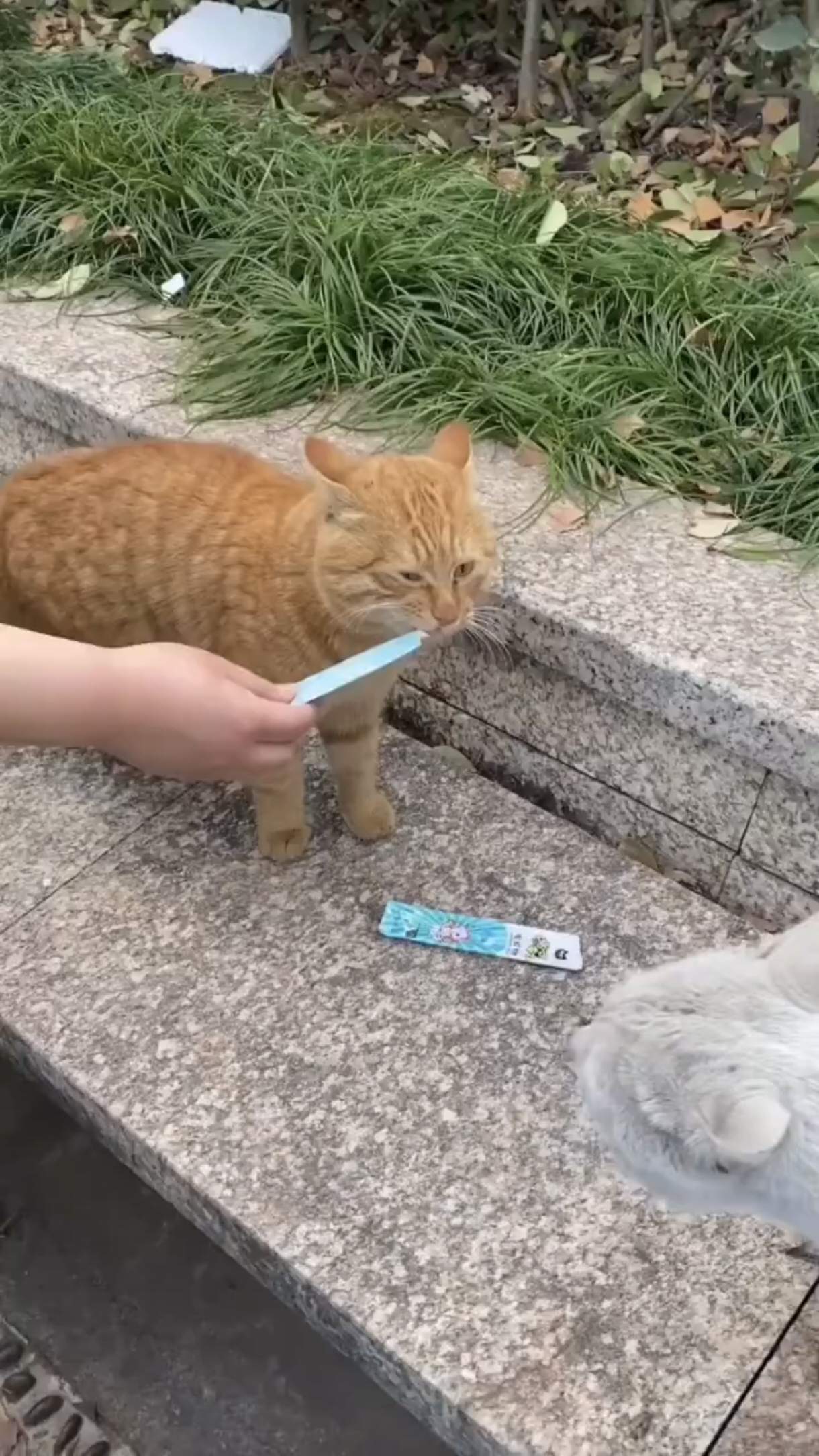 Война войной, а обед по расписанию 😼