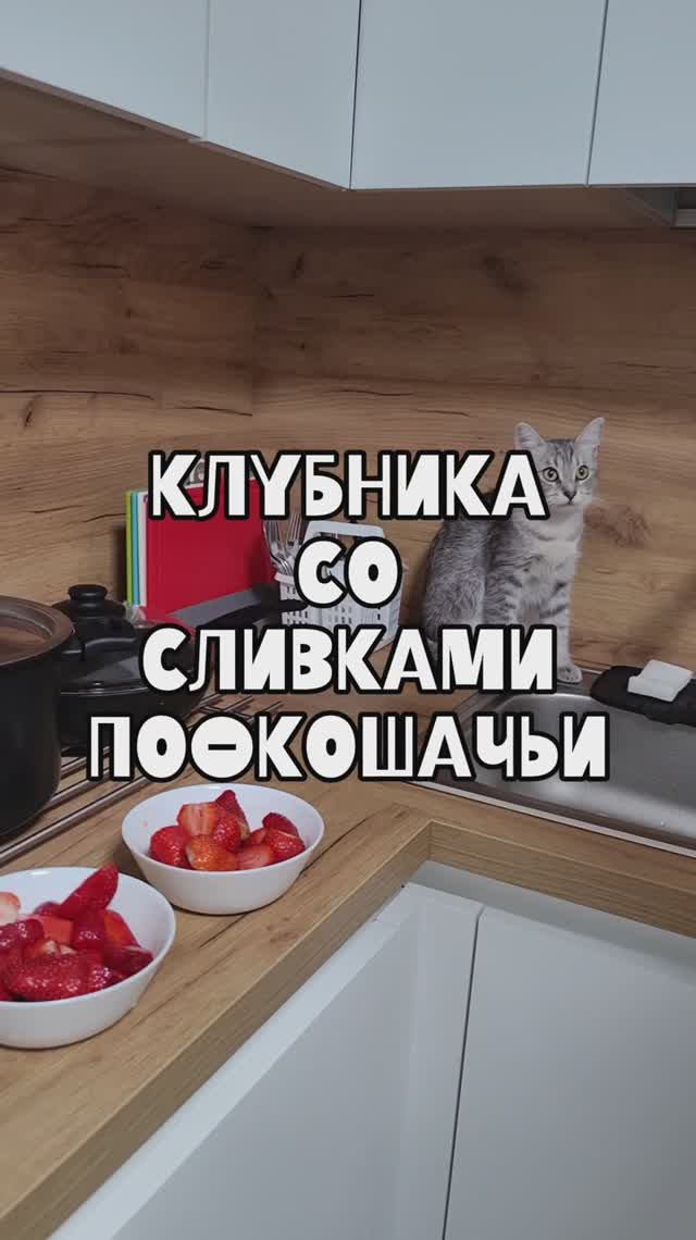 Клубника со сливками по-кошачьи